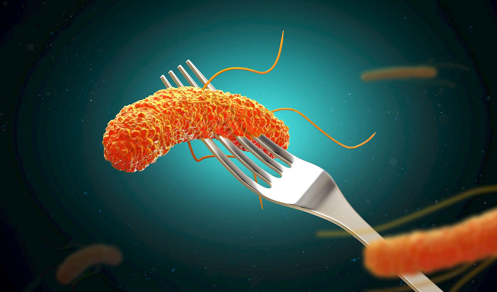 Salmonella Mbandakan aiheuttamaa tautia eri puolilla maata - Potilaan ...