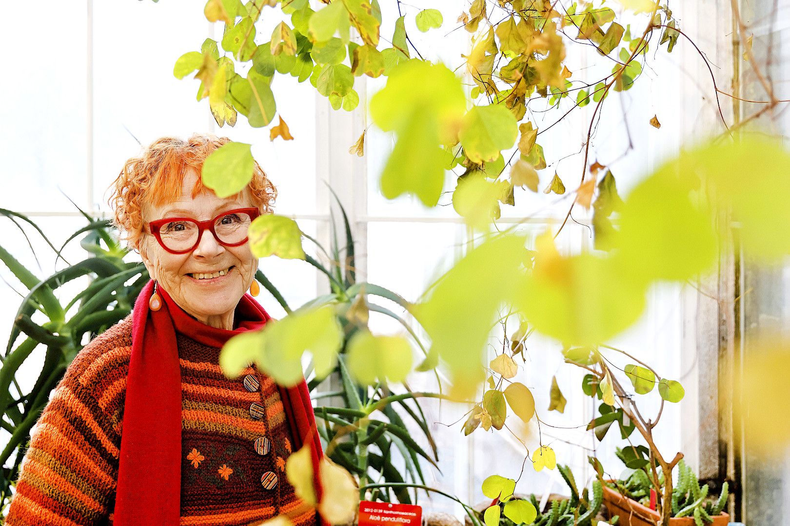 Terhokodin perustaja Anneli Vainio: "Kuolemanpelko ajaa järjestelmää ...